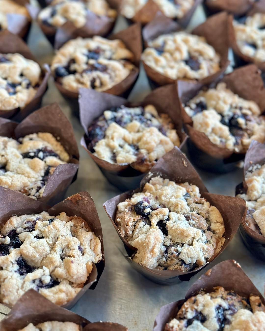 Wholesale: 1 dozen Blueberry Crumb Muffins | Sara's Sweets